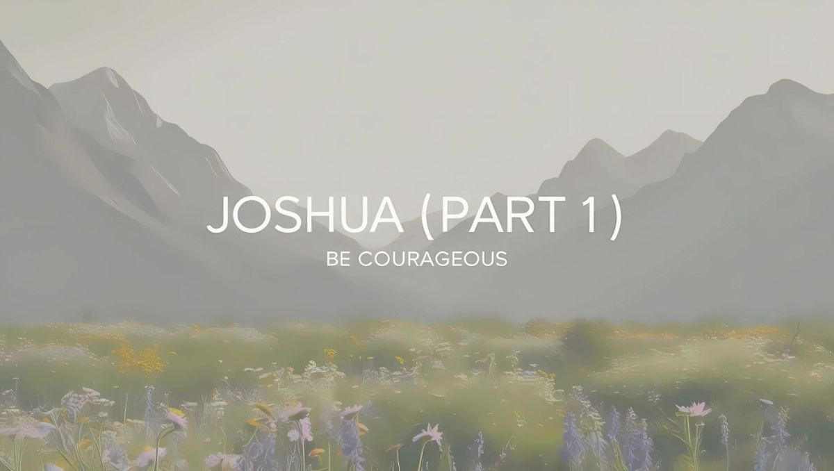 Weekly Reflection 12/31/24 – Living Hope Ministries